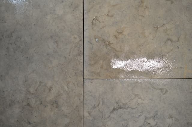 Ontario Stone Wiarton Buff Square Cut Flagstone (multiple sizes ...