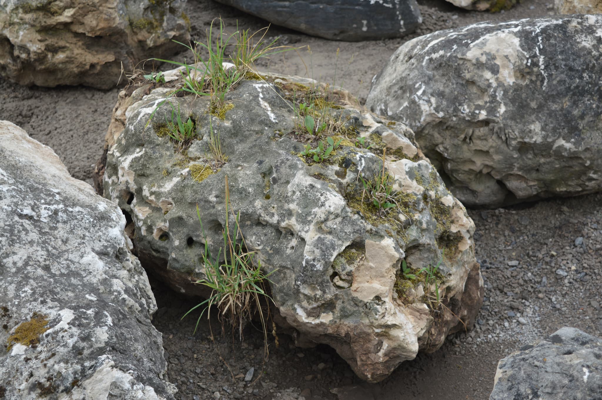 Boulders - Ontario Stone